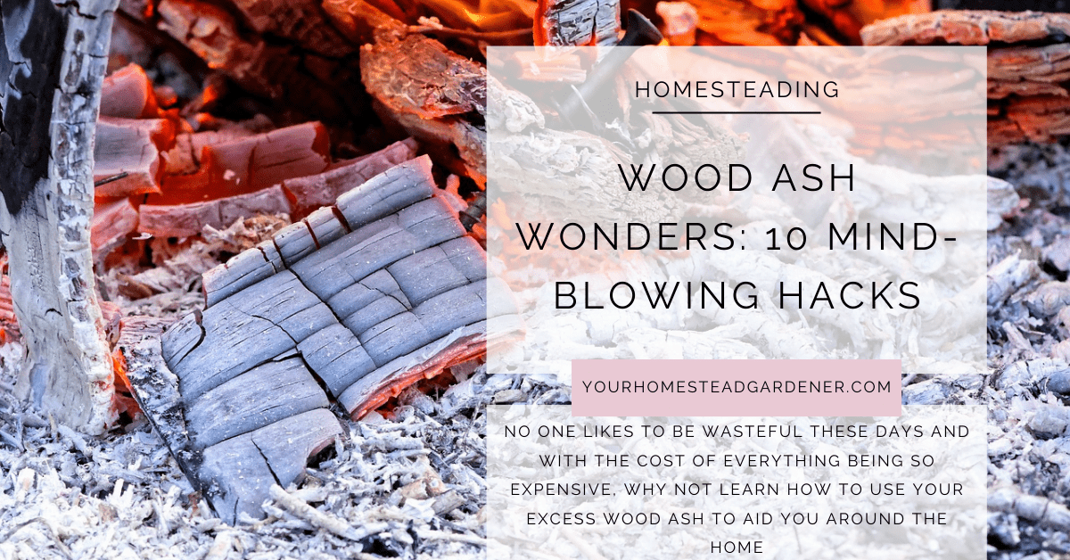 Wood Ash Wonders: 10 Mind-Blowing Hacks to Elevate Your Home and Farm Life!