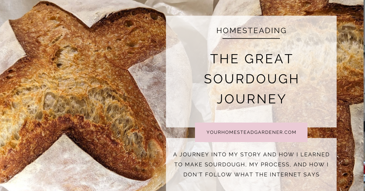 The Great Sourdough Journey – My Process - A Story for Beginners
