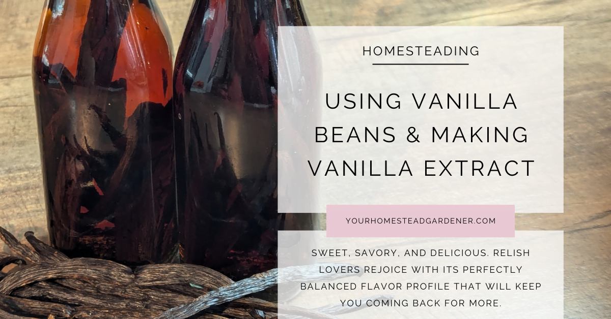 Using Vanilla Beans and Making Vanilla Extract At Home